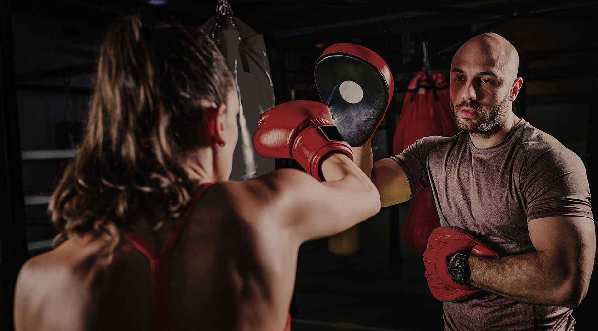 Bridge | Demo Site for Boxing Gym